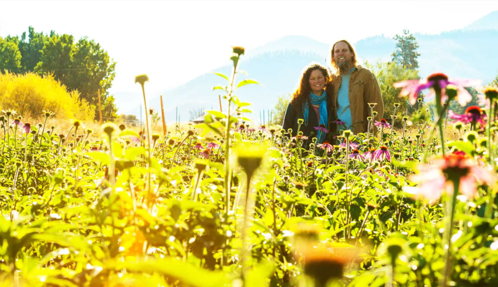 Our Sourcing – Natura Sophia Spagyrics