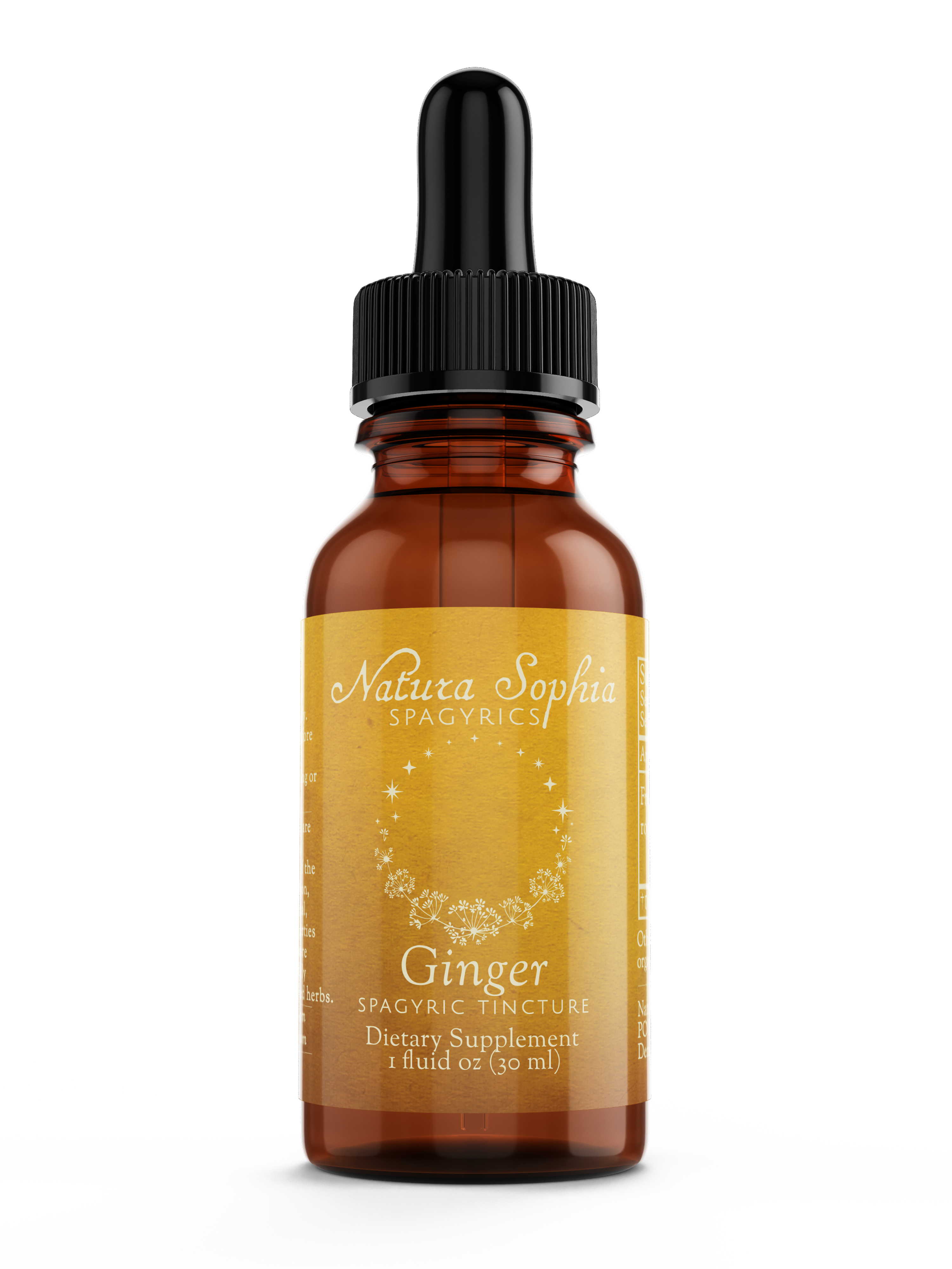 Ginger (Zingiber officinale) Spagyric Tincture – Natura Sophia Spagyrics